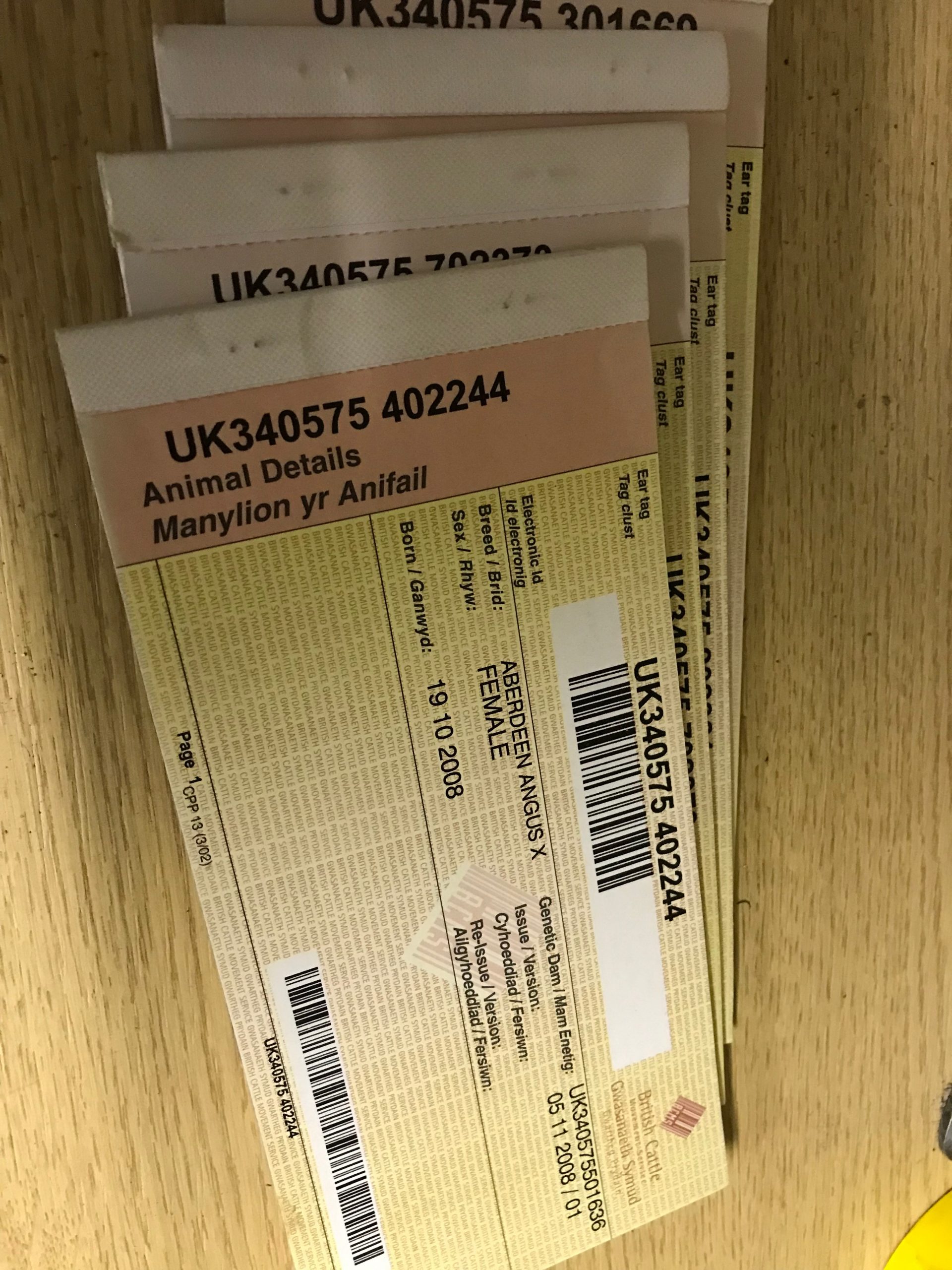 December 2021 | View from the hill